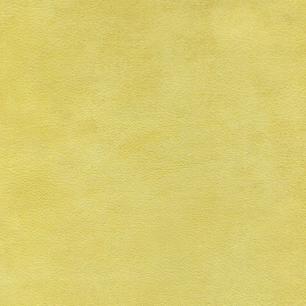 EDSIM Leather | Lemon-084_72dpi - EDSIM LEATHER